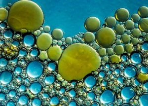 Emulsiones cosméticas: Qué son y para qué sirven? | Baumé